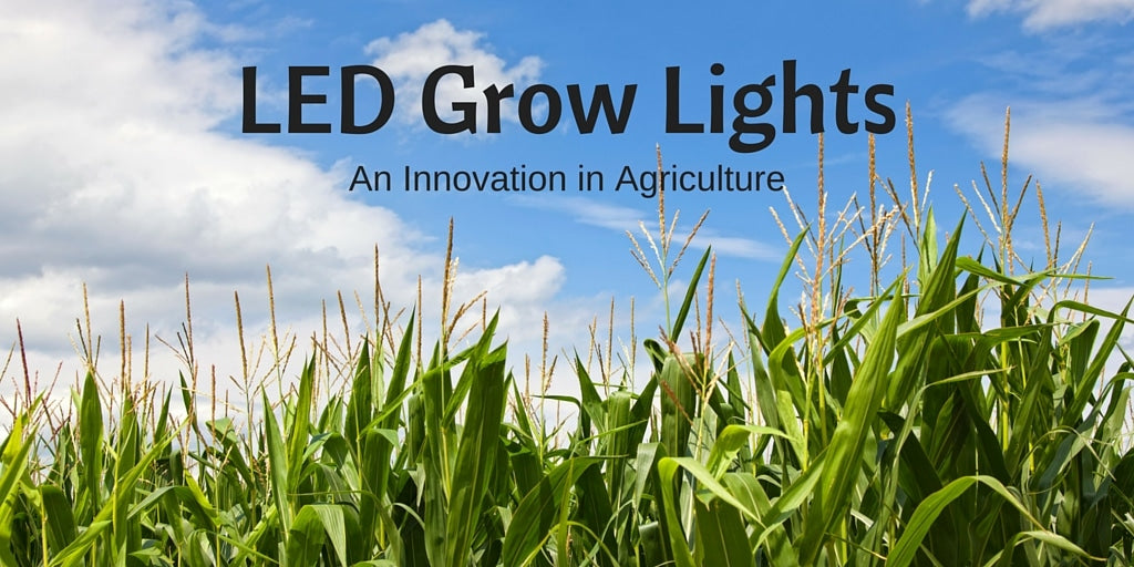 LED IN AGRICULTURE - GREENHOUSES | VONN Lighting
