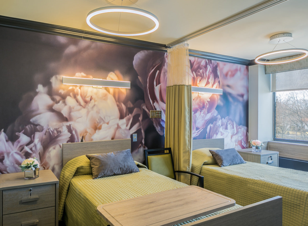 Illuminating Recovery: Enhancing Rehabilitation Centers with VONN Ligh ...